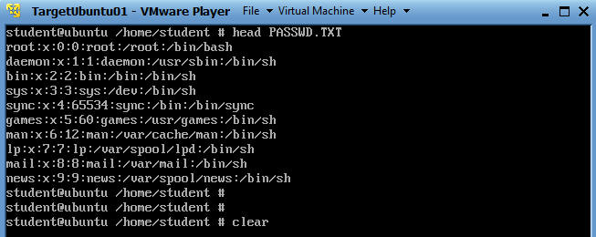 Unix Linux Lesson 2 Cp Mv Rm Rmdir Cat More Head Tail Grep Wc